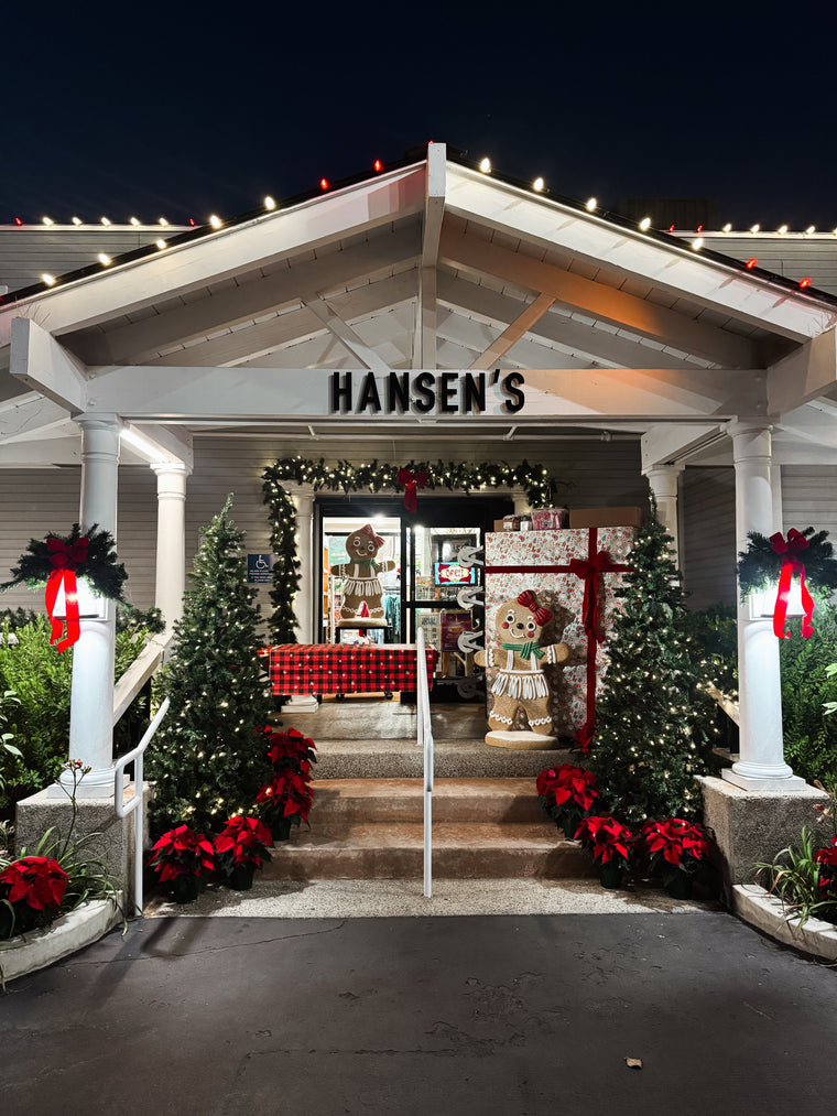 Hansen Surfboards | Online Surf Shop | San Diego Surf Cams